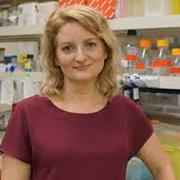 Jennifer Gommerman | Leadership | University of Toronto