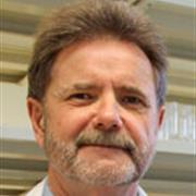 Robert Andrews | About | University of Toronto