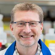 Boris Hinz | About | University of Toronto