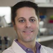 David Brooks | About | University of Toronto