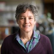 Elizabeth Edwards | About | University of Toronto